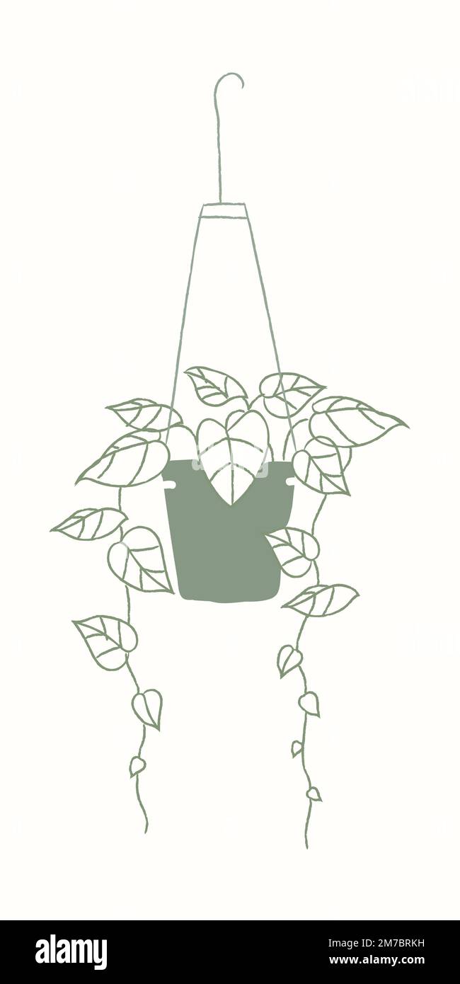 Hanging plants indoor Cut Out Stock Images & Pictures - Alamy