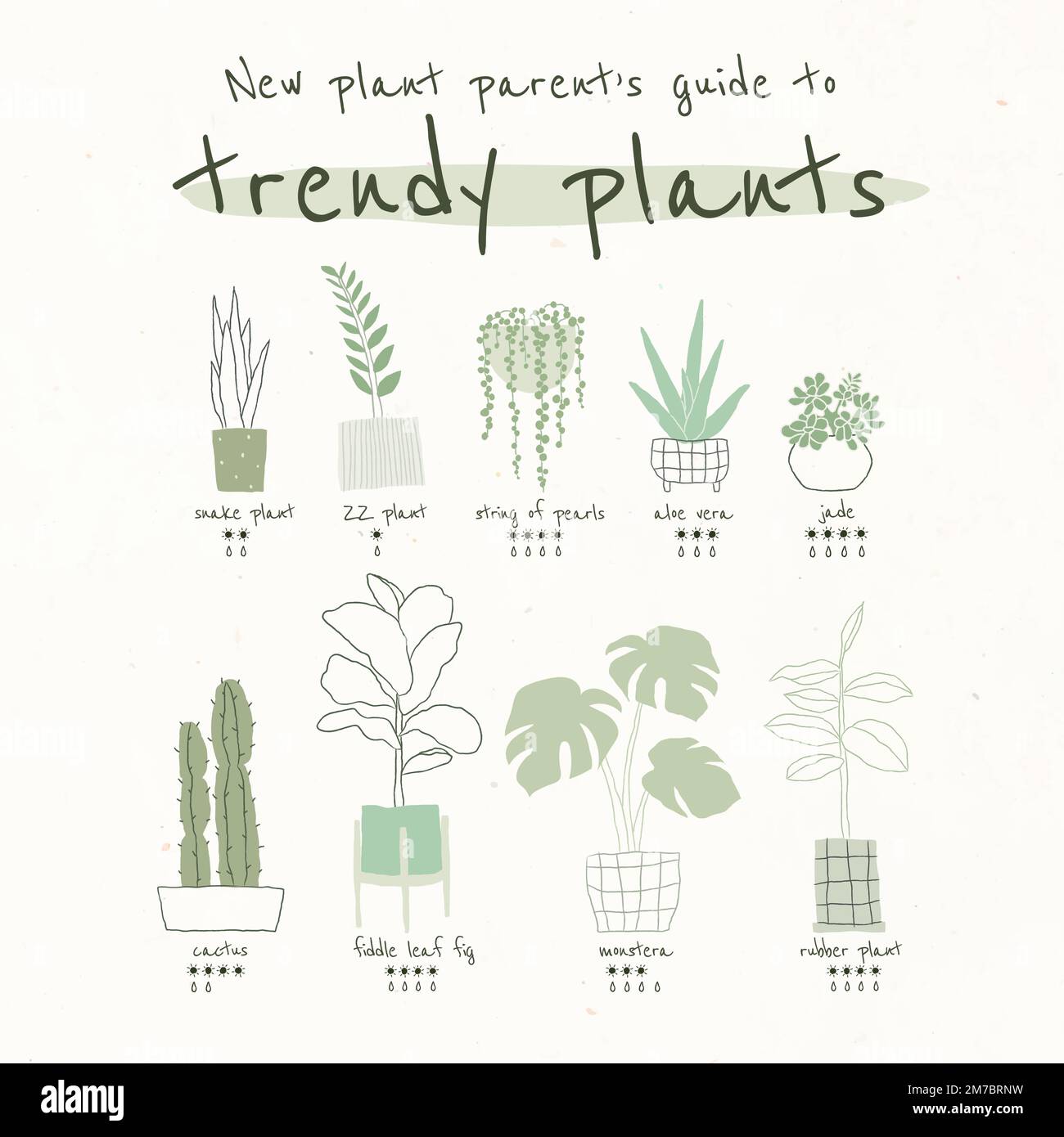 Trendy houseplant guide template vector for social media Stock Vector ...
