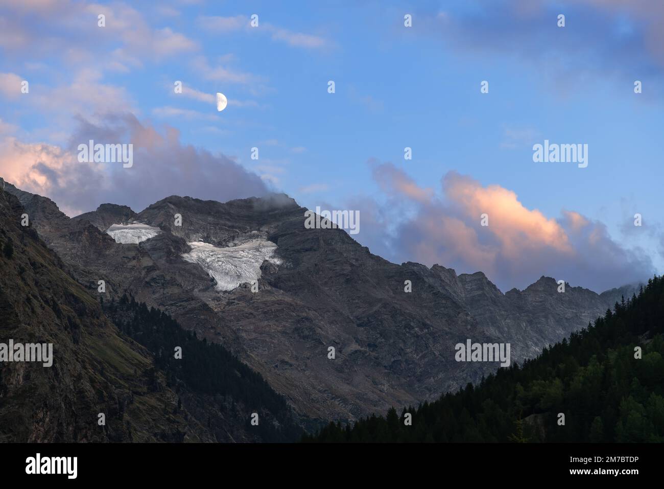 Mountain range peaks with glacier and coniferous forest, sunset blue ...