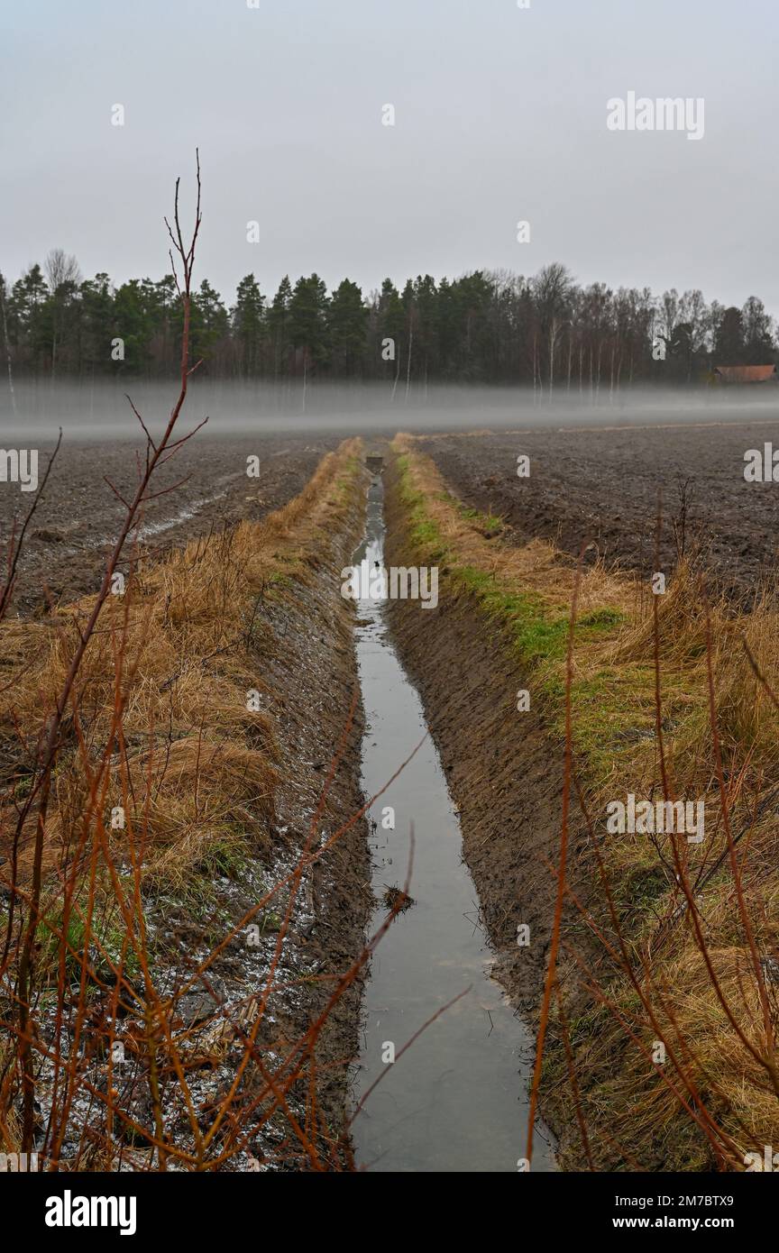 gray january day overlooking farmers field with mist Stock Photo - Alamy