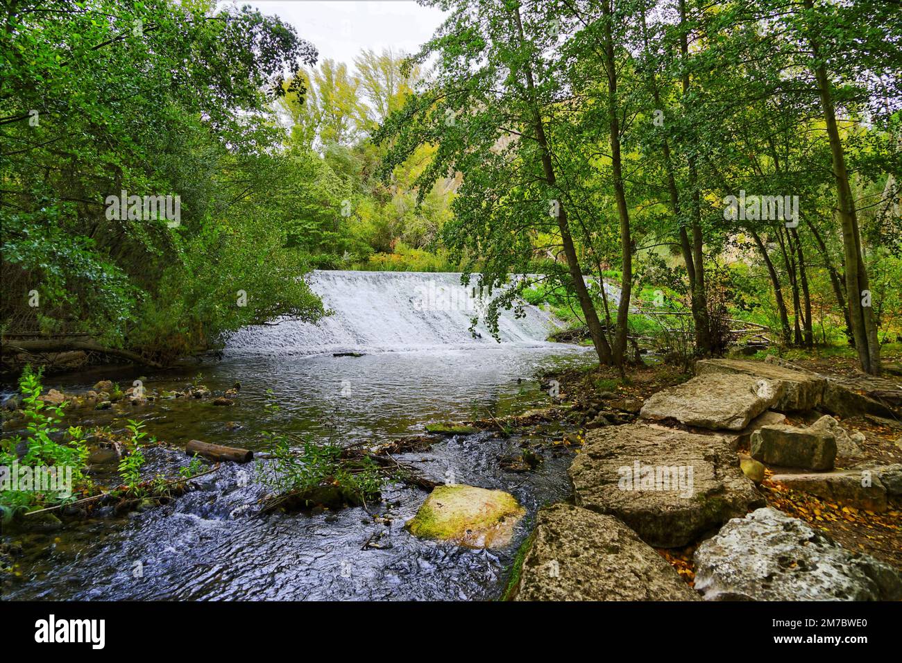 A river flowing over a small dam in lush green forest Stock Photo - Alamy