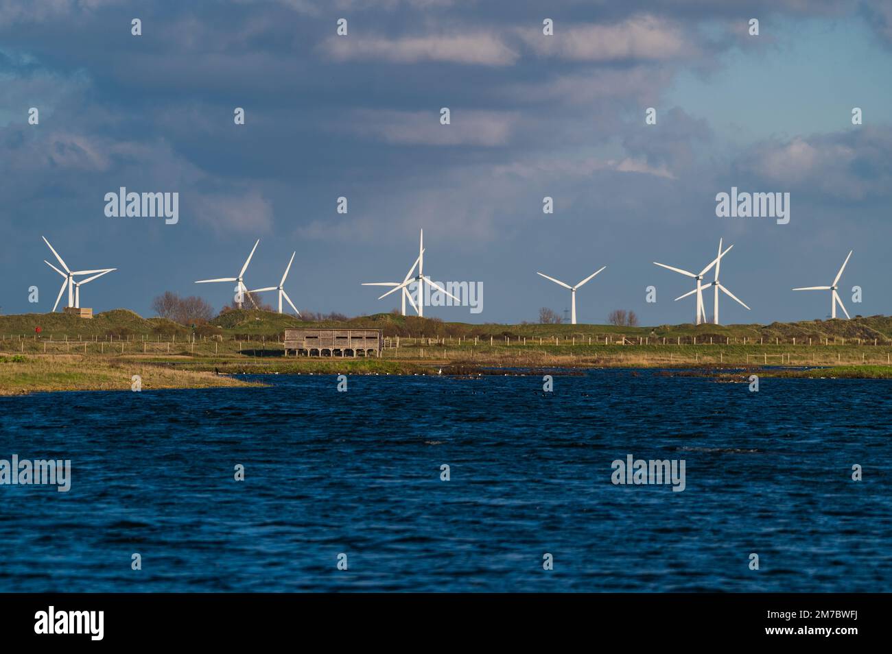 Windfarm at Camber Sands seen from Rye Nature Reserve, East Sussex, UK ...