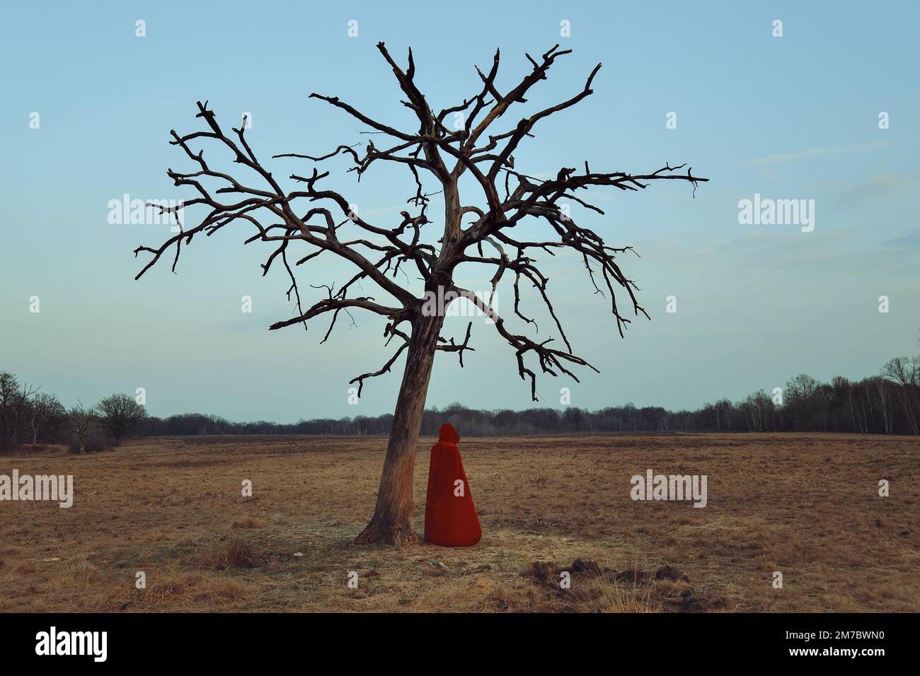 Alone in a desolate land Stock Photo - Alamy