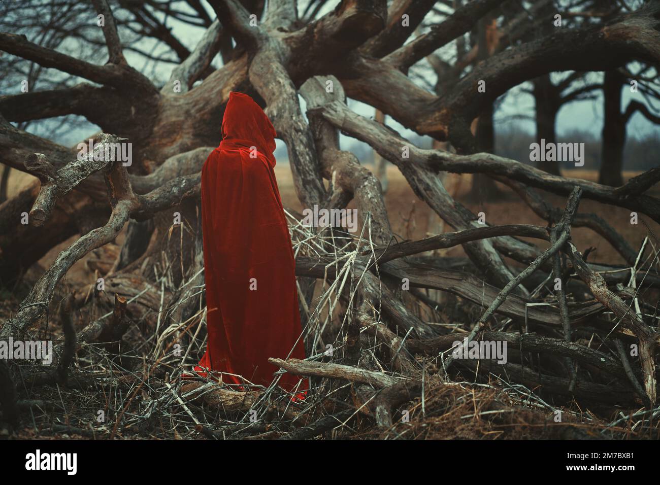 Long red hooded cloak. Dramatic dead tree in background Stock Photo - Alamy
