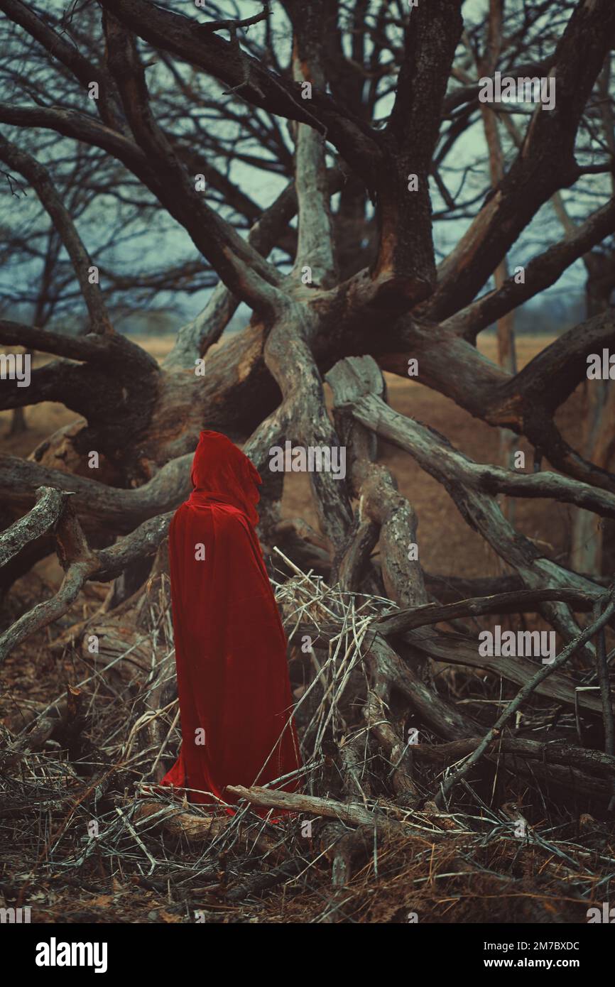 Person alone in a dead desolate land Stock Photo - Alamy