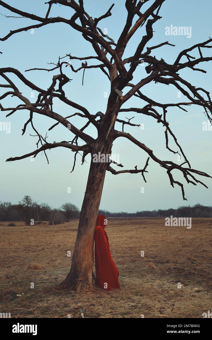 Red hooded cloak hi-res stock photography and images - Alamy