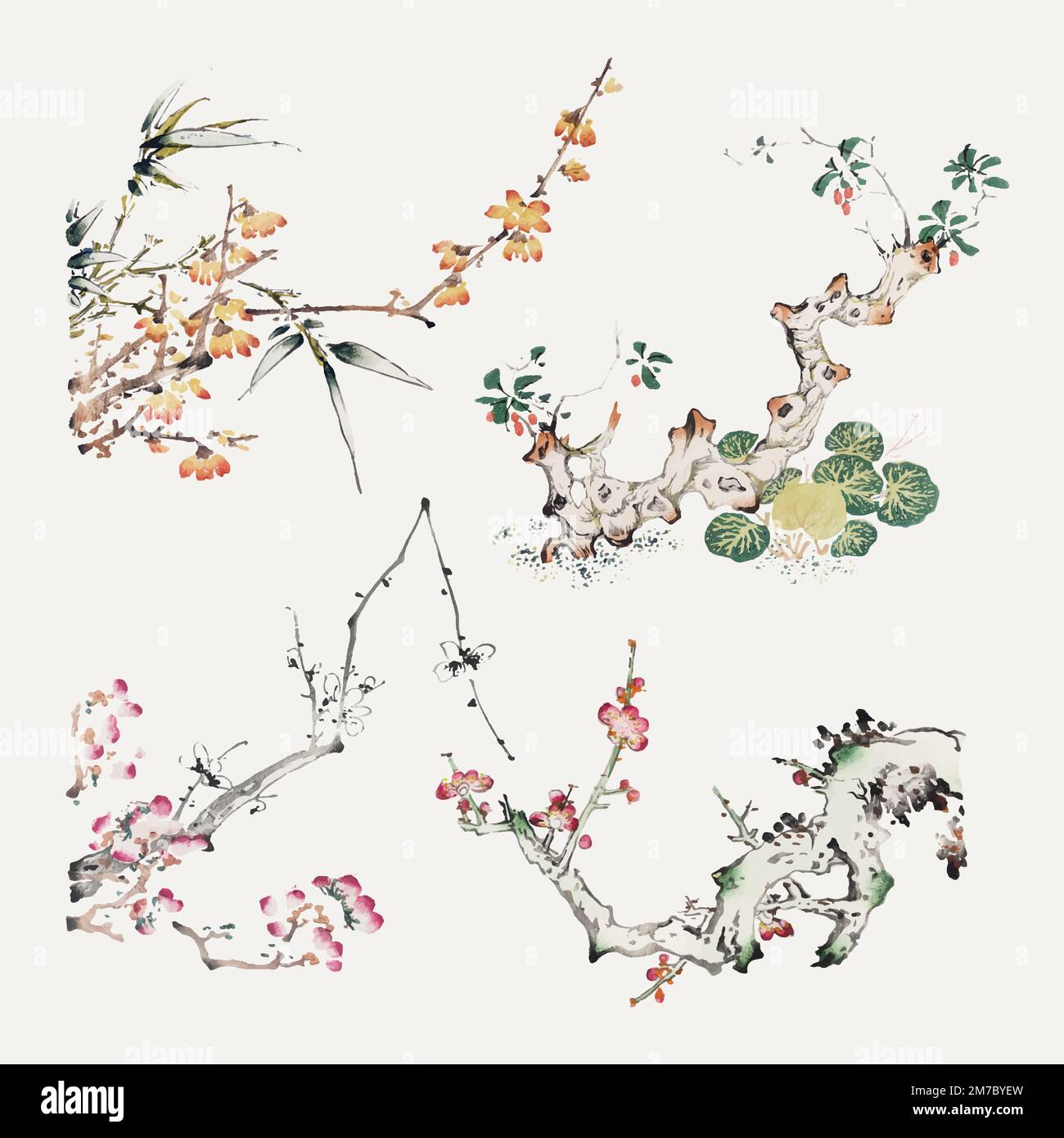 Vintage botanical element vector art print set, remixed from artworks ...