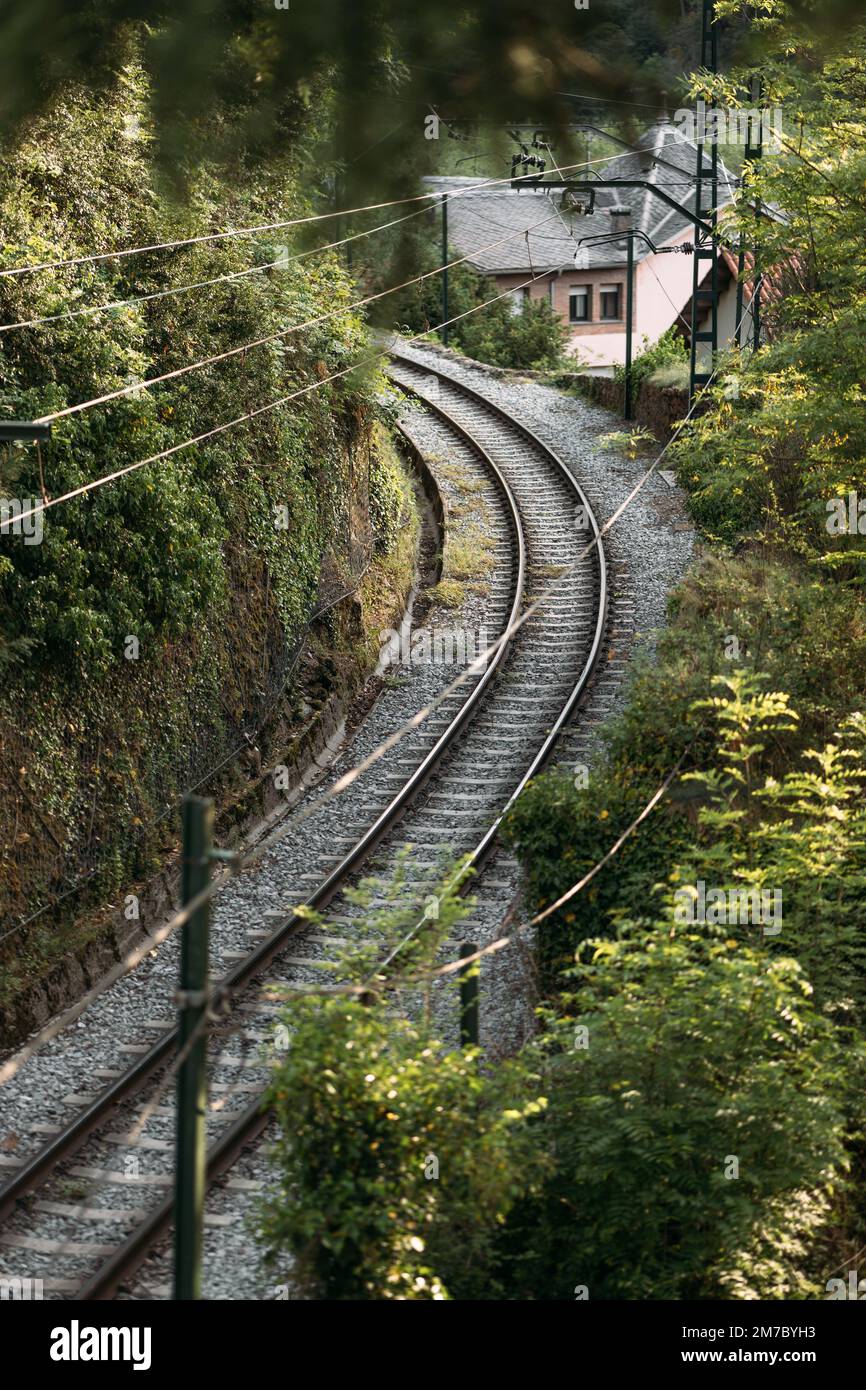 Railroad for lifting the train along the rails up, among the green ...