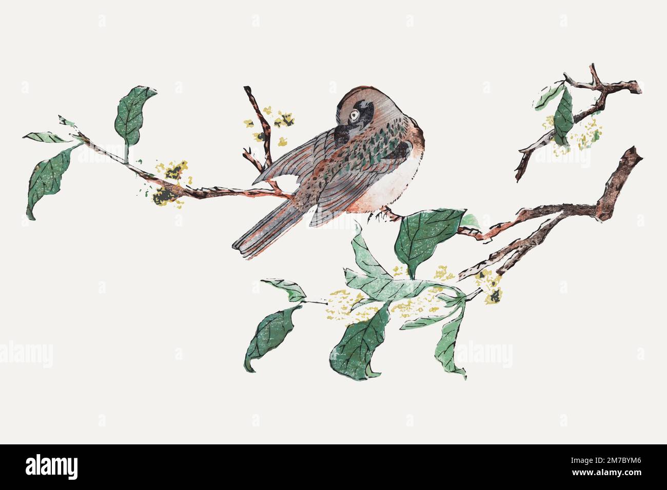 Bird vector perching on a tree illustration, remixed from artworks by ...