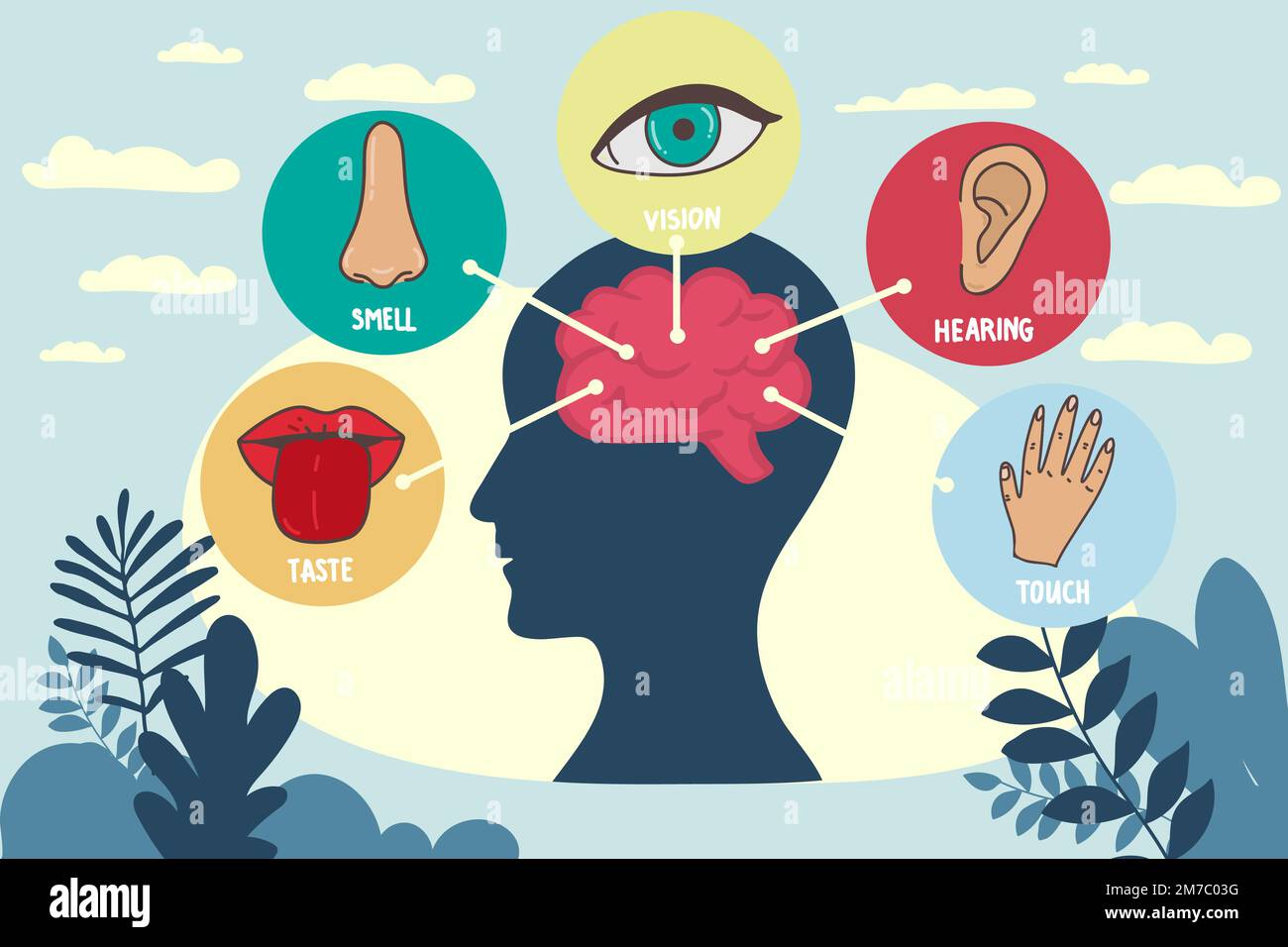 Five human senses line icons set. Vision, smell, hearing, touch, taste ...