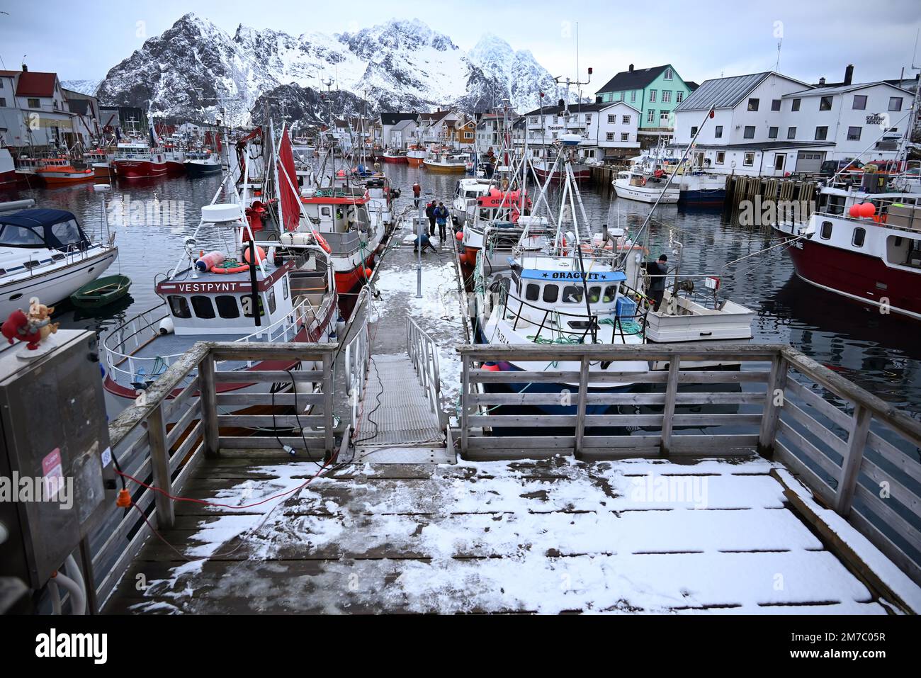 The trawlers flotilla resting in the fishing port of Henningsvaer in ...