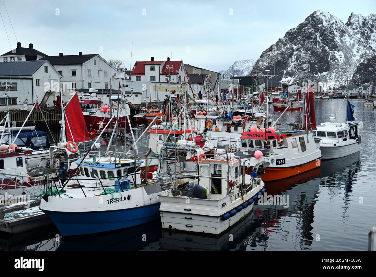 The trawlers flotilla resting in the fishing port of Henningsvaer in ...