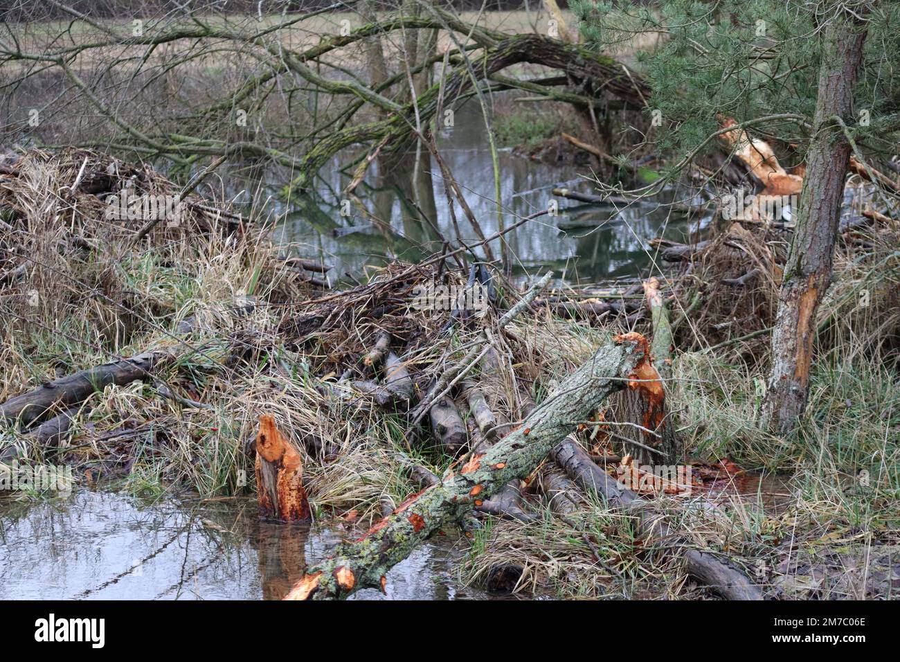 Landscape influences hi-res stock photography and images - Alamy