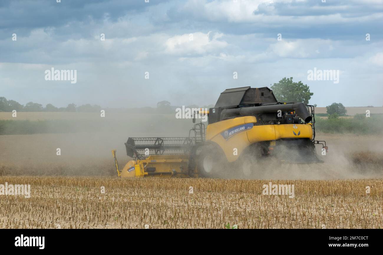New Holland CR9080 combine harvesting a crop of Rapeseed, North ...