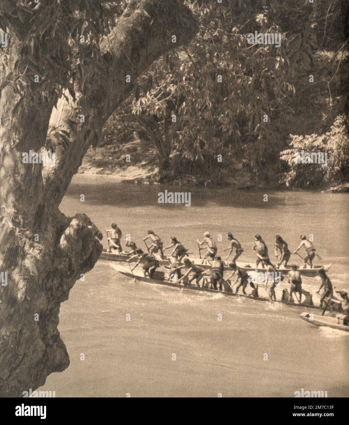 Dayak tribe pirogues in the river in Borneo from the documentary film ...