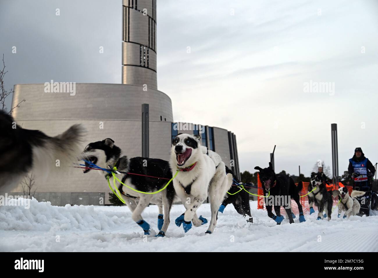 Some hundred meters after the Finmarslopet start line, a sled dog team ...