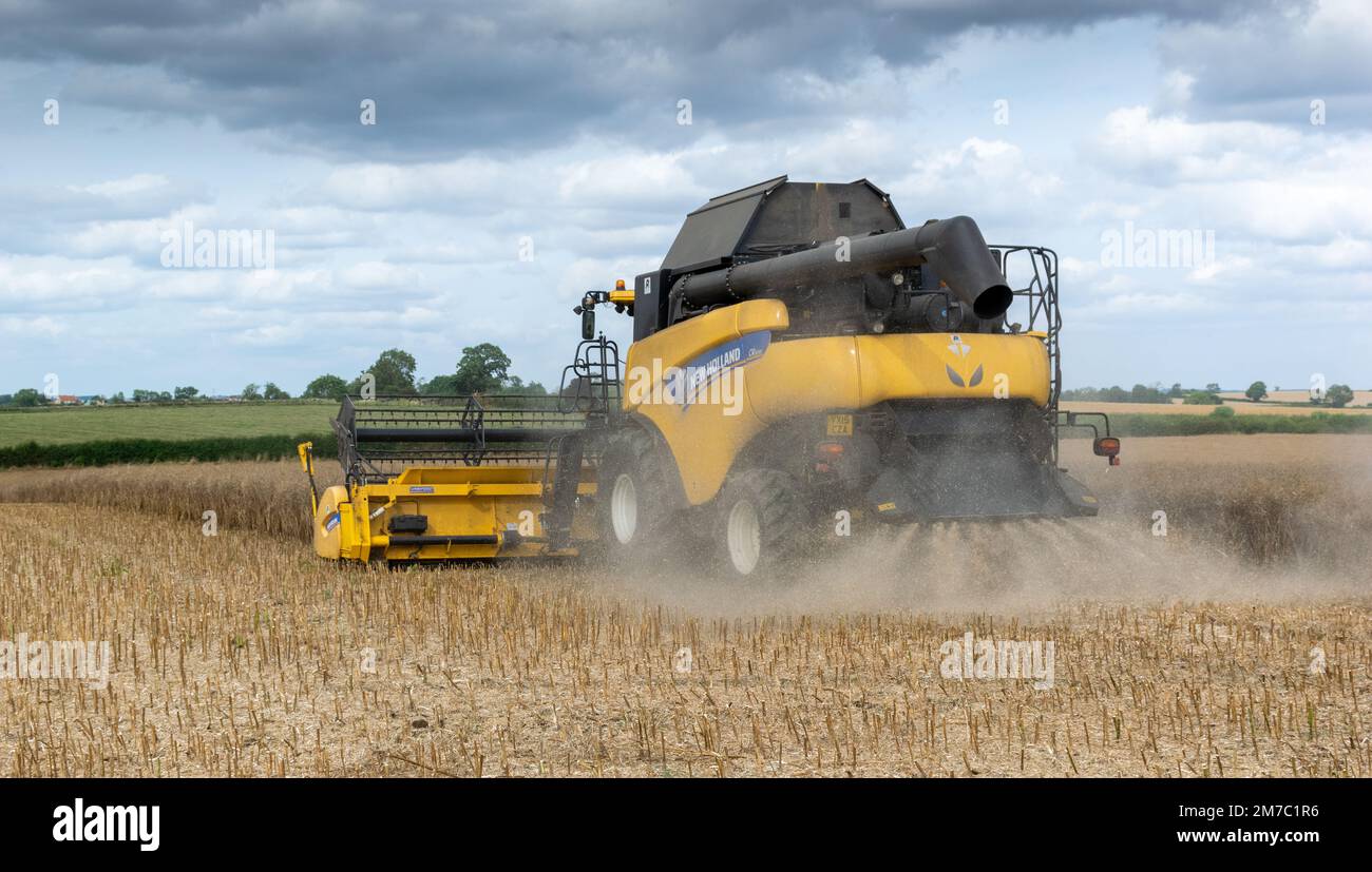 New Holland CR9080 combine harvesting a crop of Rapeseed, North ...