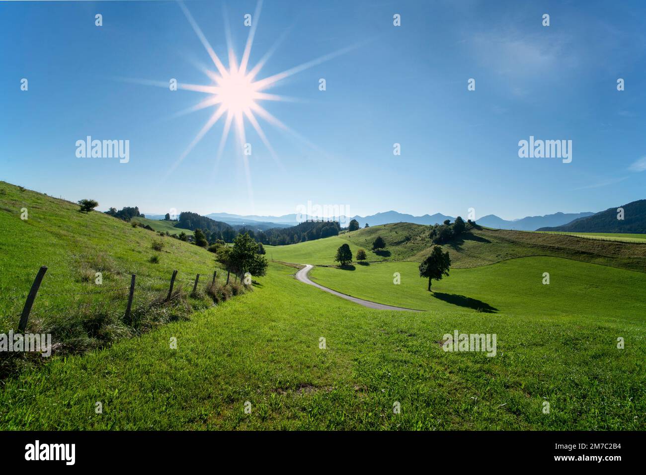 hilly meadow landscape, Karwendel Mountains in the background, Germany ...