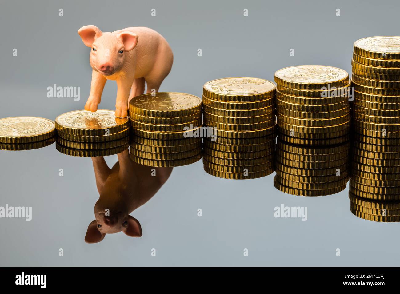 piggy bank standing on a stack of fifty cent coins, front view Stock ...