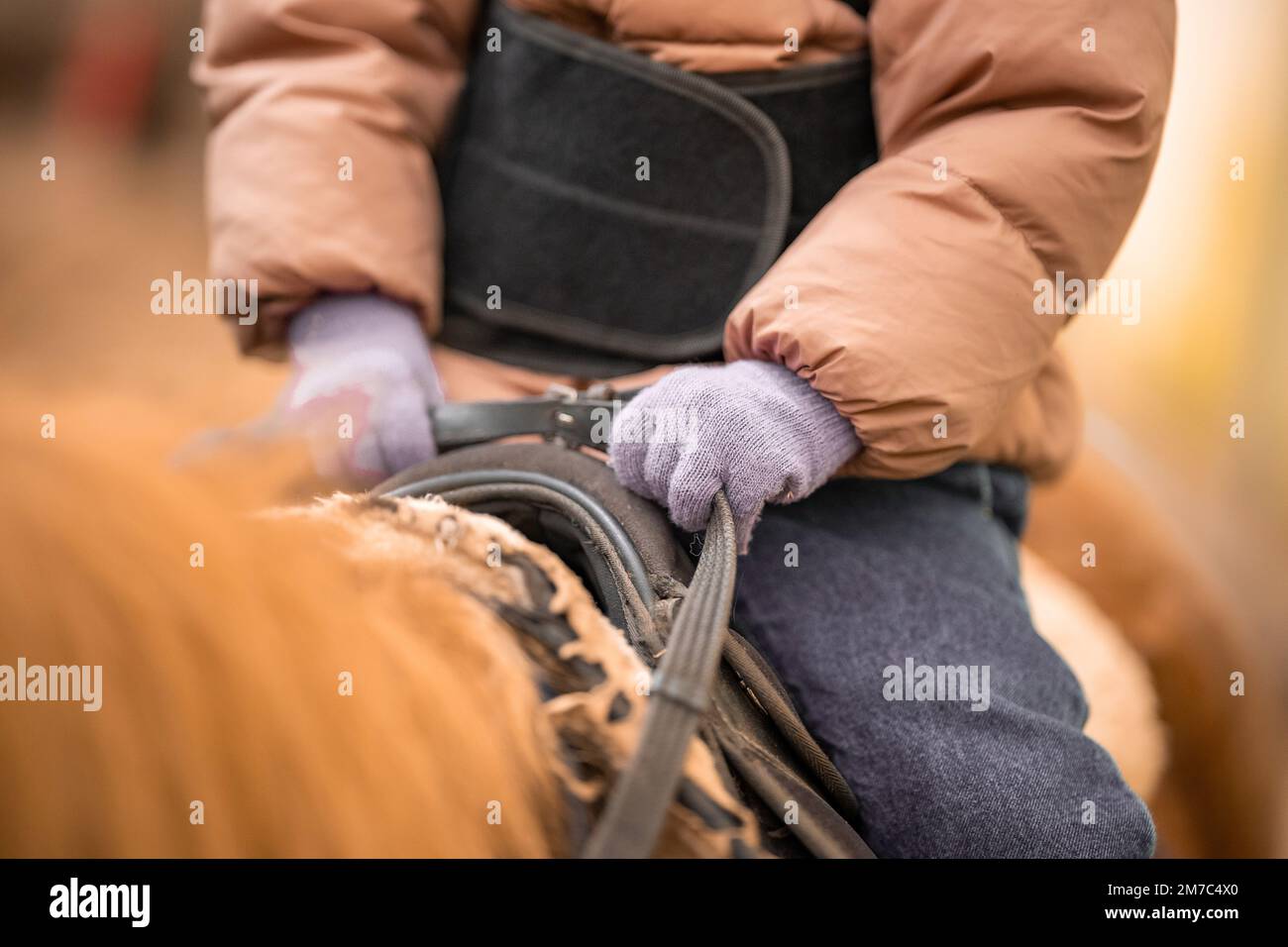 Close up view of hands in gloves during Little Child Riding Lesson ...