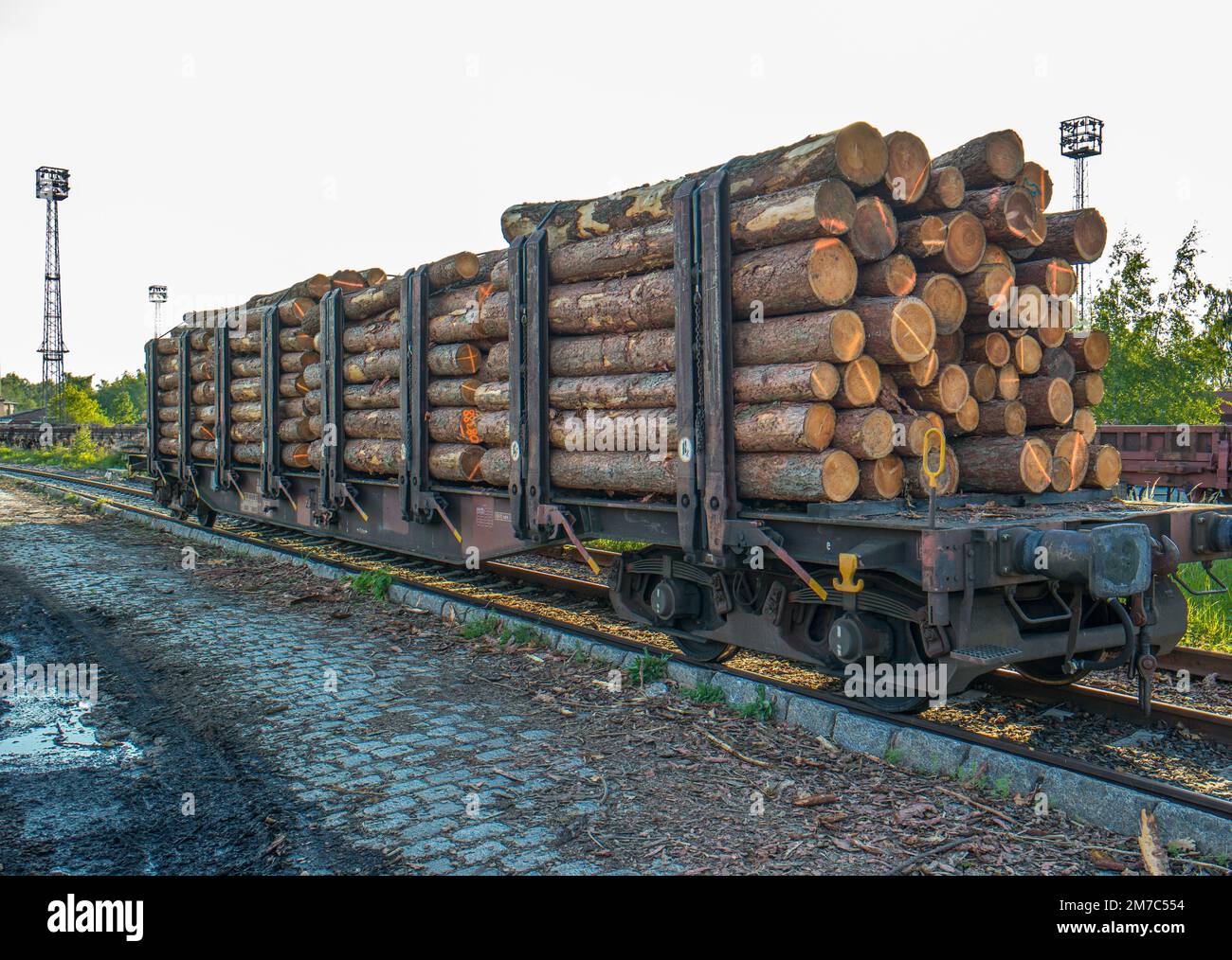 Railway wagon with tree trunks Stock Photo - Alamy