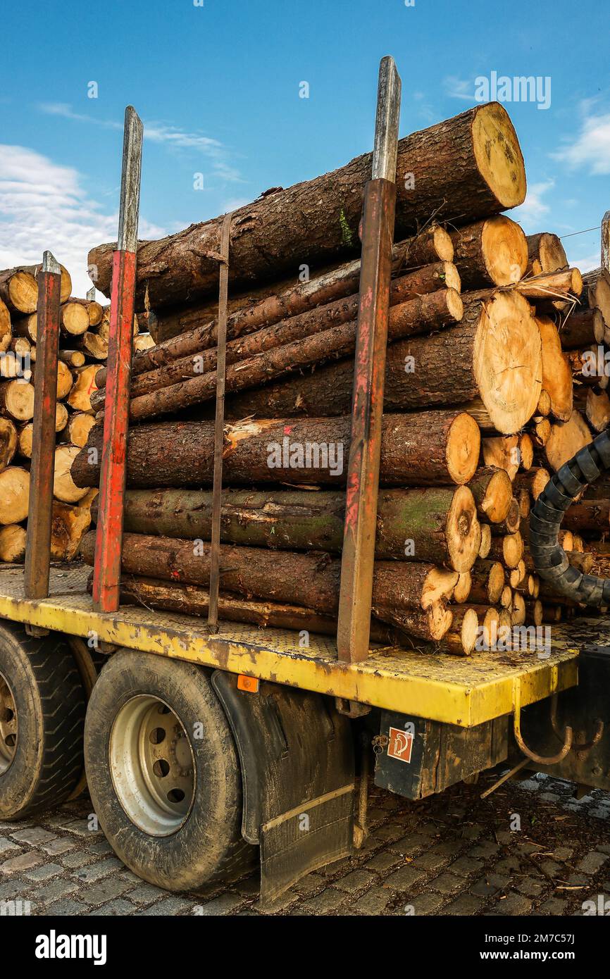 Truck trailer with tree trunks Stock Photo - Alamy