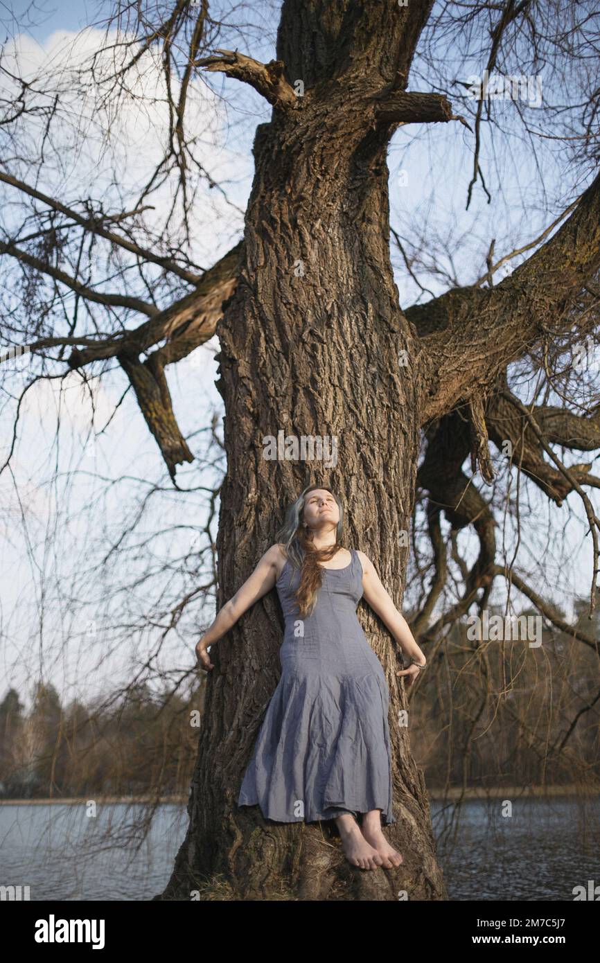 Leaning against willow tree scenic photography Stock Photo - Alamy