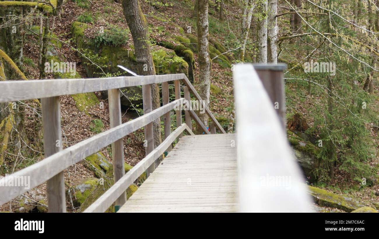 Footbridge over river moss hi-res stock photography and images - Alamy
