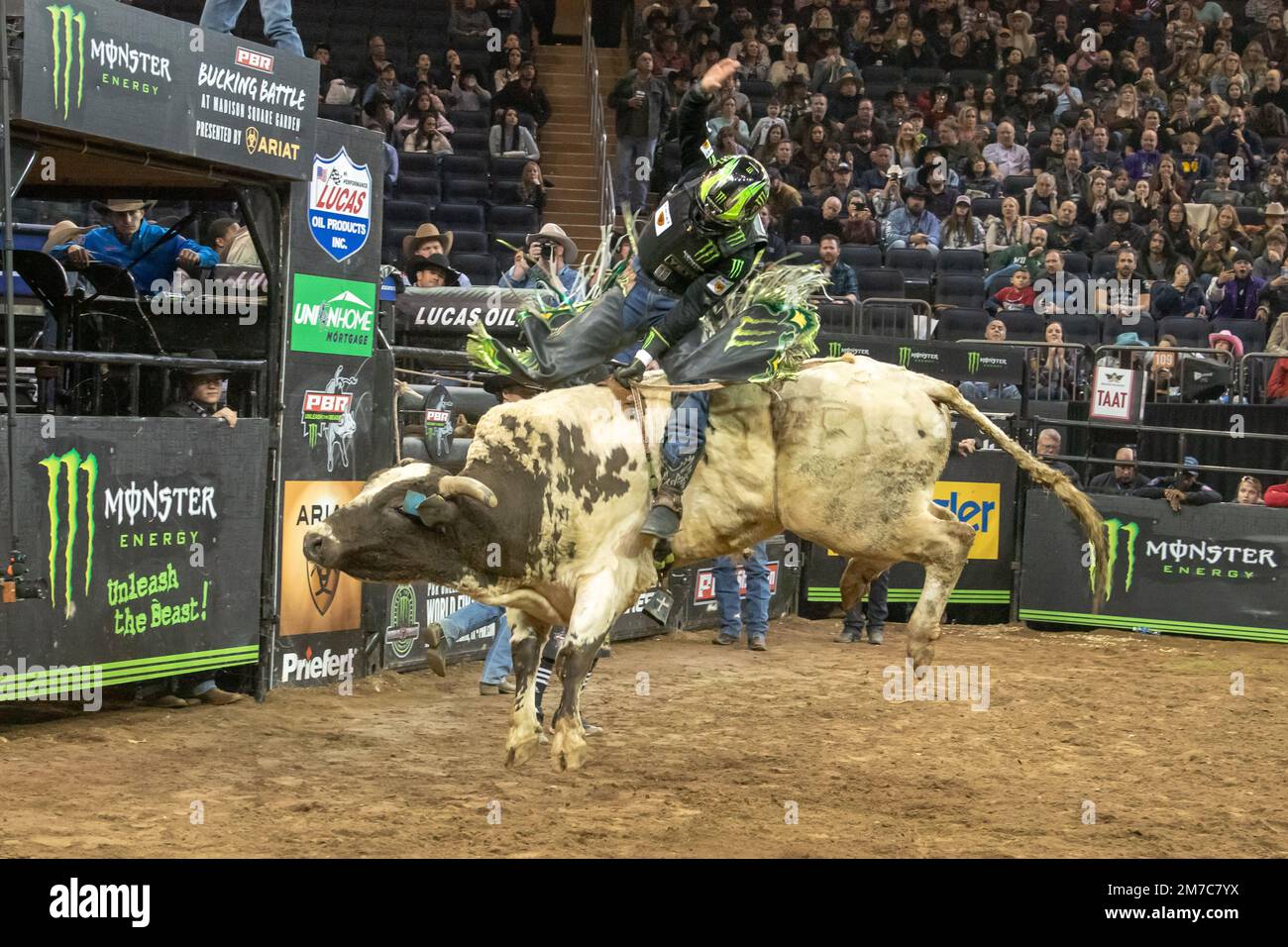New York, United States. 08th Jan, 2023. Jose Vitor Leme rides Choc ...