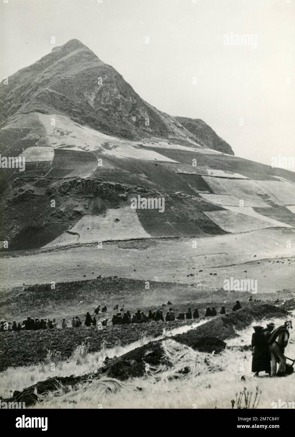 Indian of the Andes farmers working in the fields of the high plateau ...