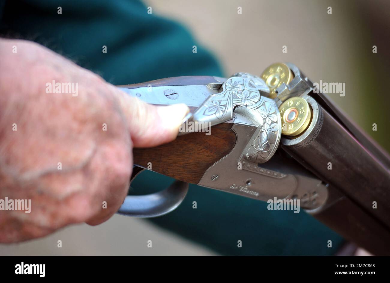 France. Hunt gun open with cartridges for the small game Stock Photo ...