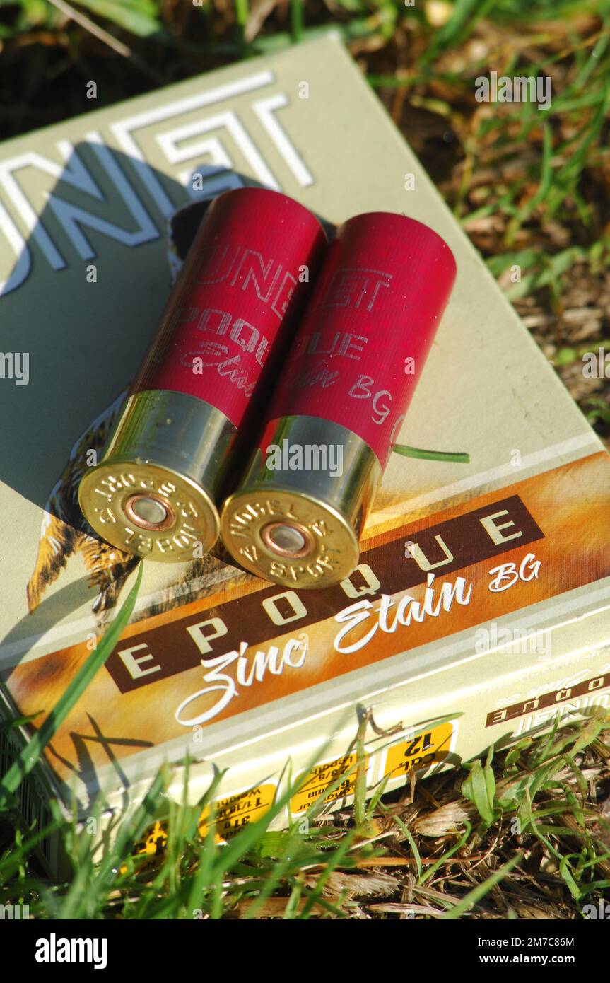 France. Box of cartridges with zinc to hunt near water Stock Photo - Alamy