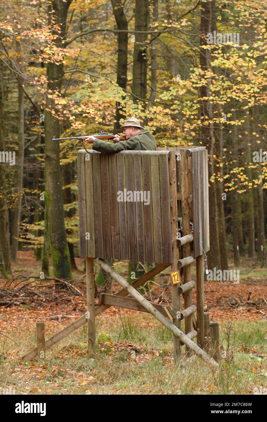 France. Hunter in his hunt platform during a big game hunt in a forest ...