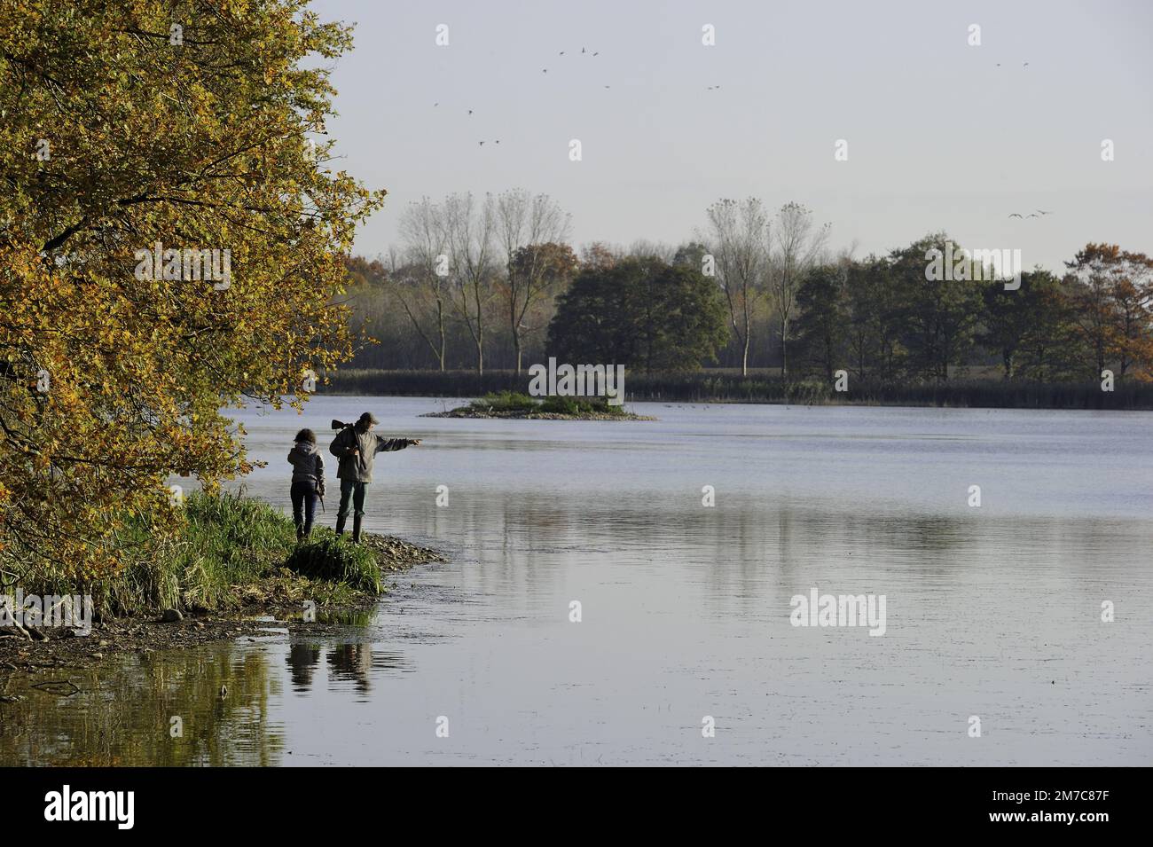 Dombes france hi-res stock photography and images - Alamy