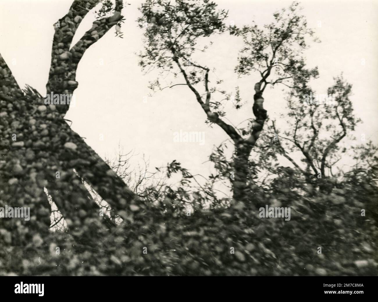 Still from the documentary film Terremoto Earthquake by Italian film ...