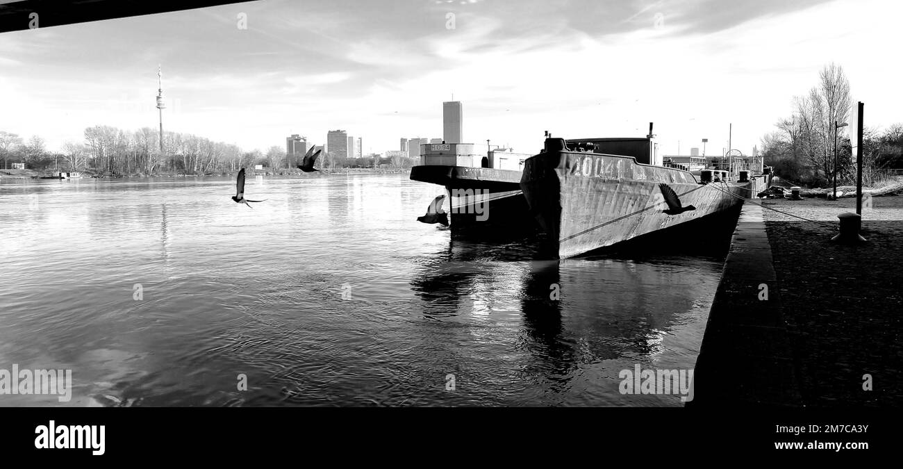 Wien der donau vienna hi-res stock photography and images - Alamy