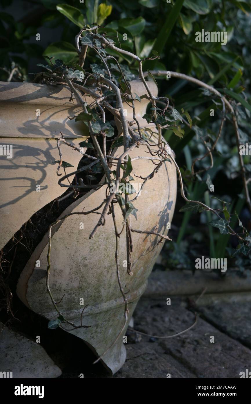 broken plant pot Stock Photo - Alamy