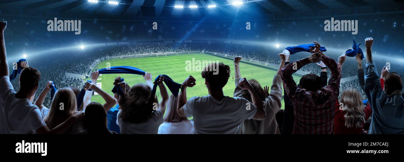 Back view of football, soccer fans cheering their team, holding flag at ...