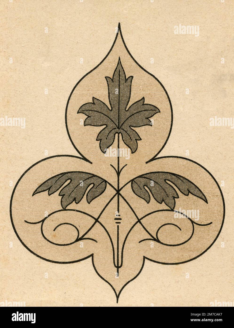 Leaves and shapes hi-res stock photography and images - Alamy