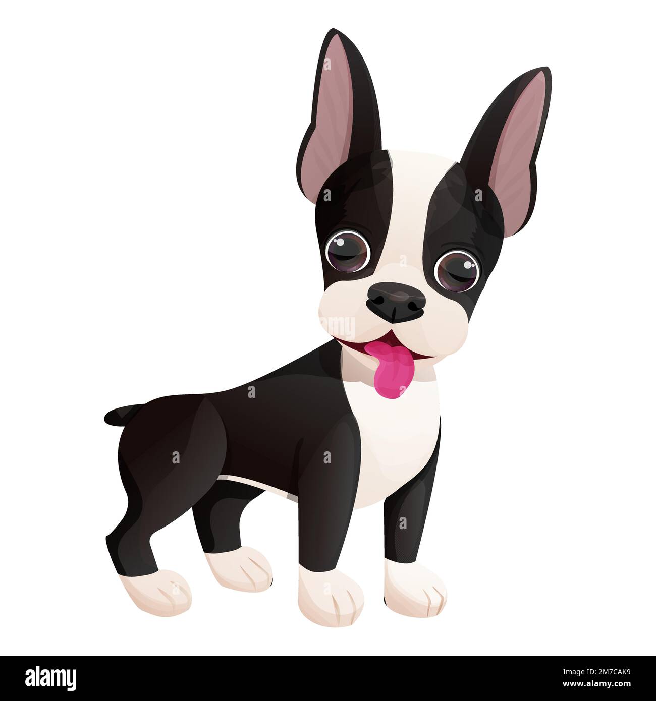 Boston terrier cool puppy standing in cartoon style isolated on white ...
