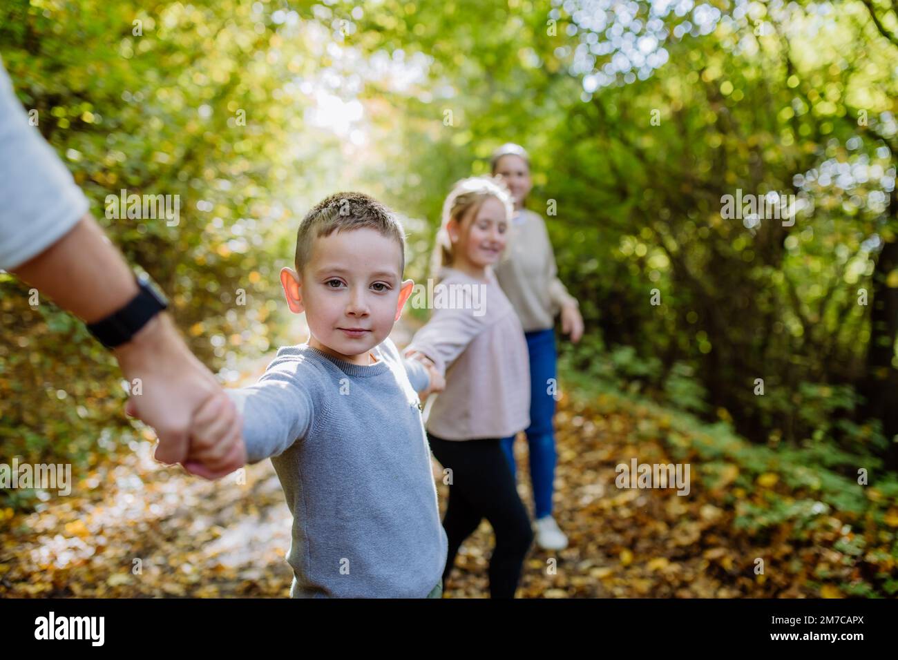 Close-up of family with kids walking in forest Stock Photo - Alamy