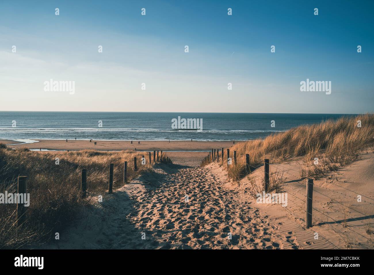 Sand path towards the sea Stock Photo - Alamy