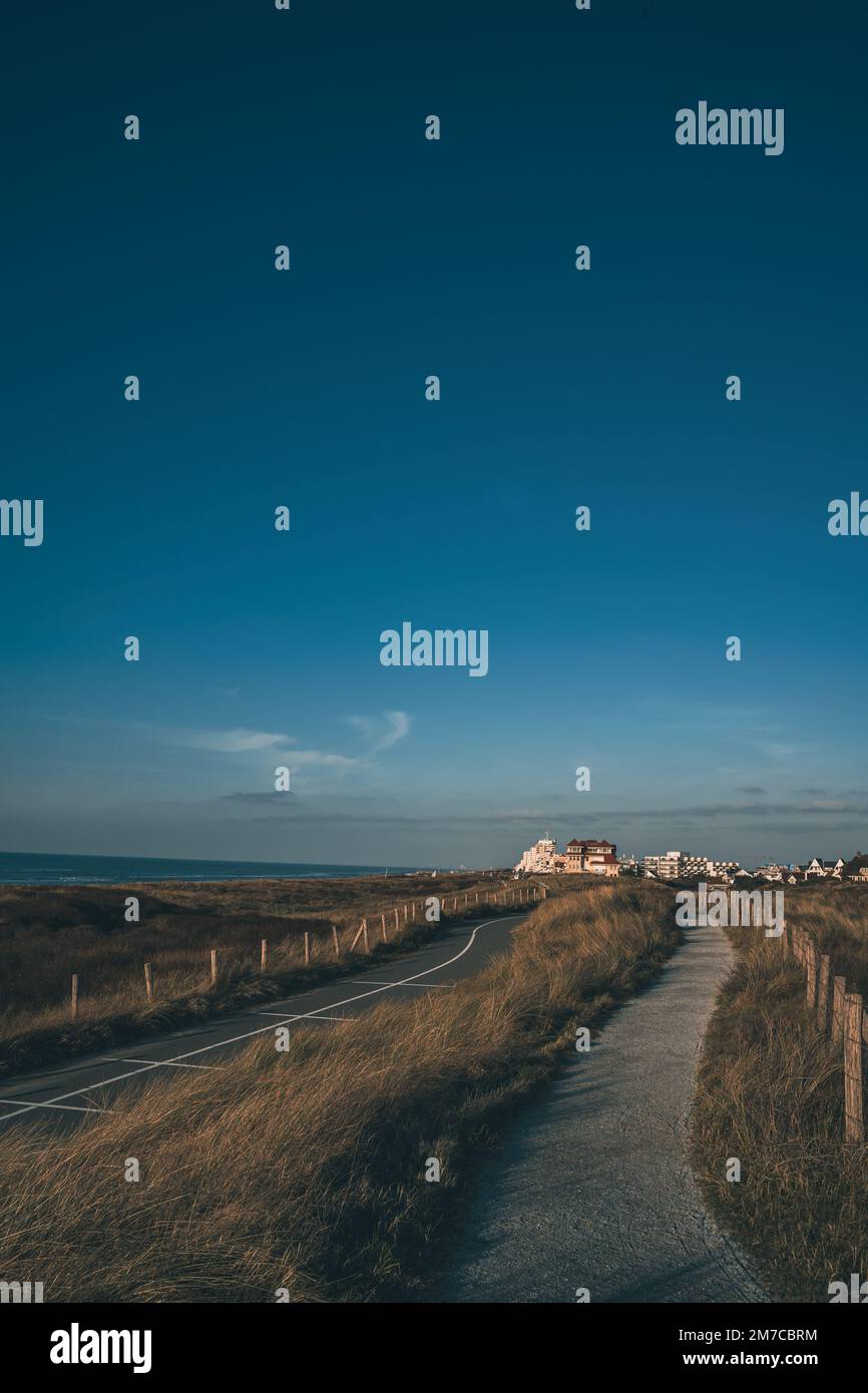 Sand path though the dunes Stock Photo - Alamy