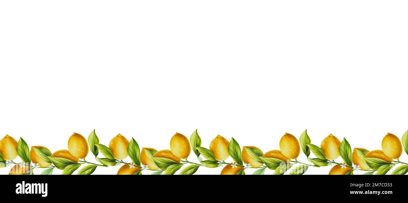 Watercolor border with fresh ripe lemon with bright green leaves and ...