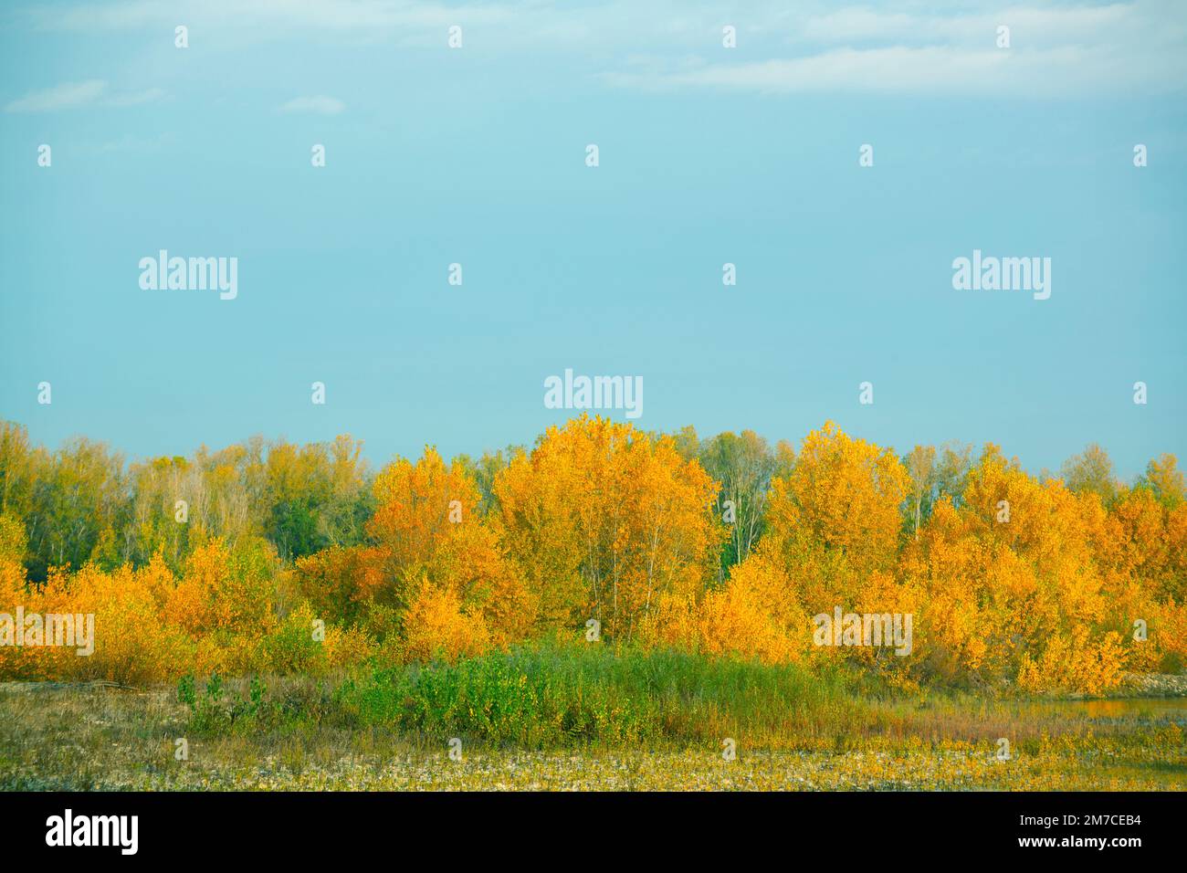 Landscape of the Taro river with autumn foliage Parma Italy Stock Photo ...