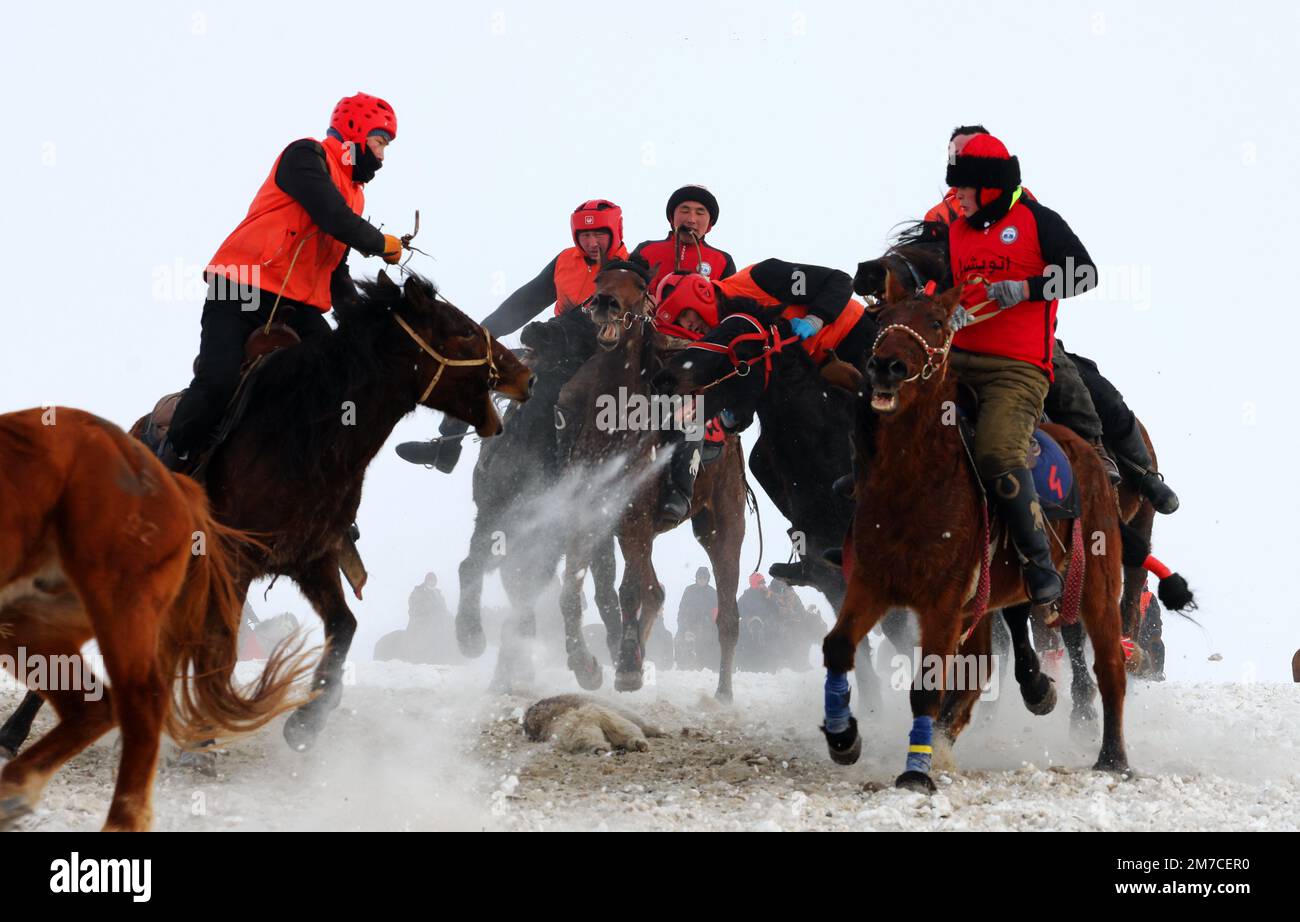 BAZHOU, CHINA - JANUARY 9, 2023 - People compete in a Sheep Snatching ...