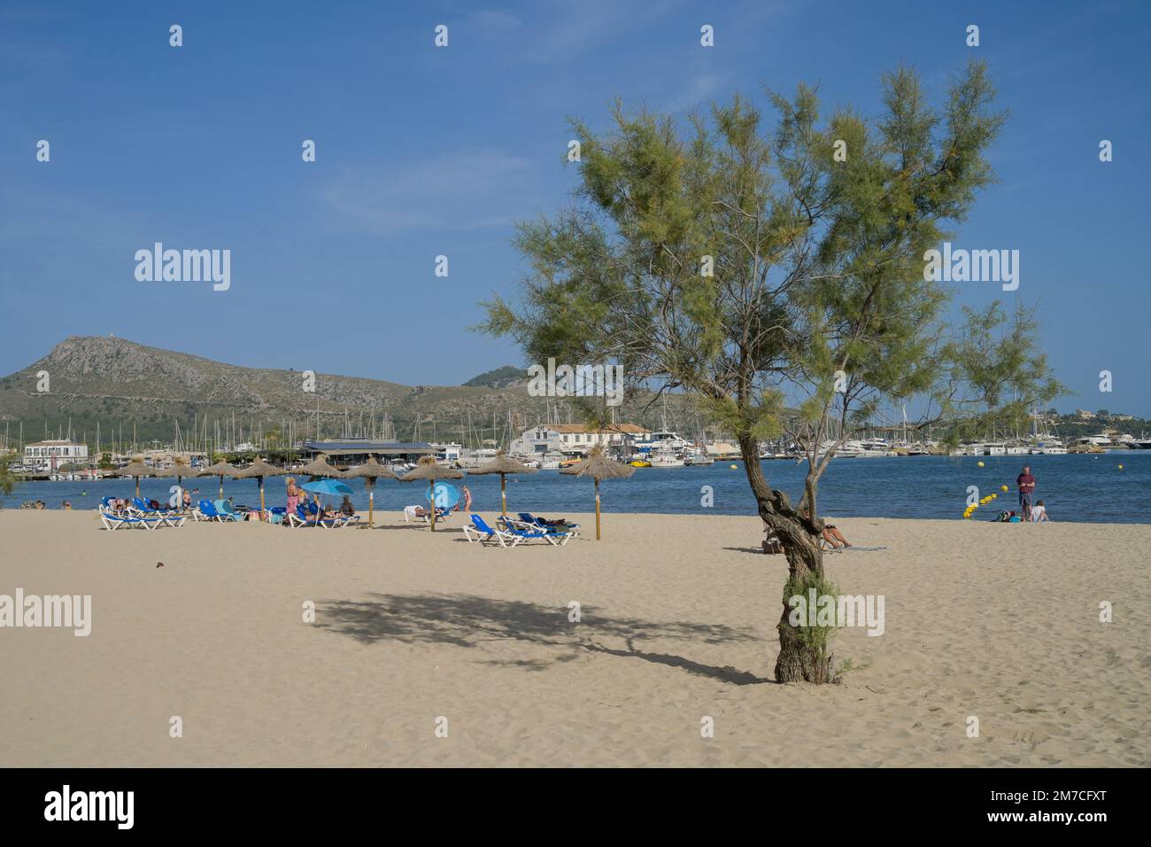 Sandstrand, Port de Pollenca, Mallorca, Spanien Stock Photo - Alamy