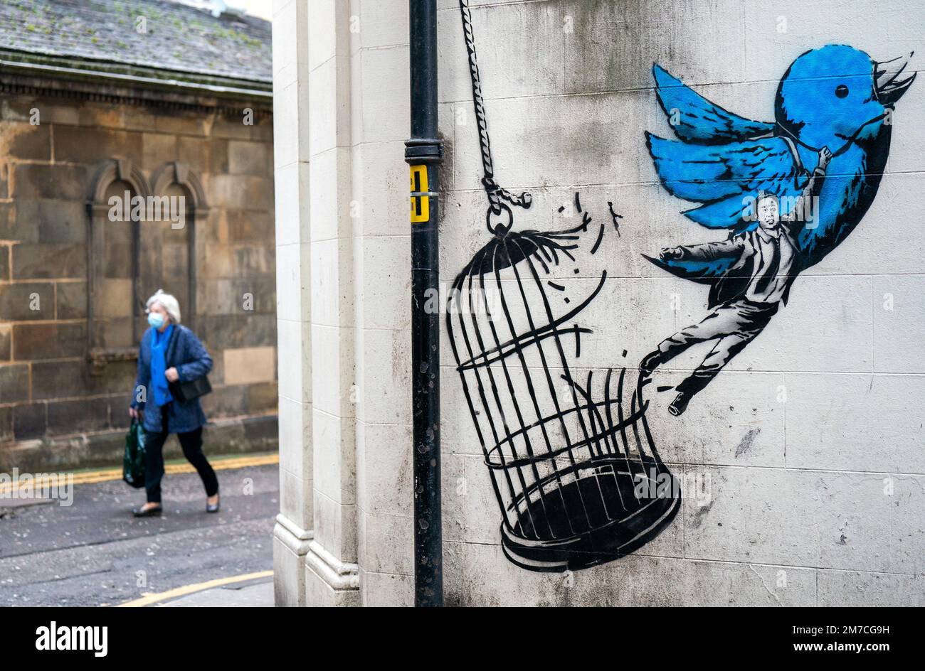 New street art by 'Rebel Bear' that features Elon Musk and references ...