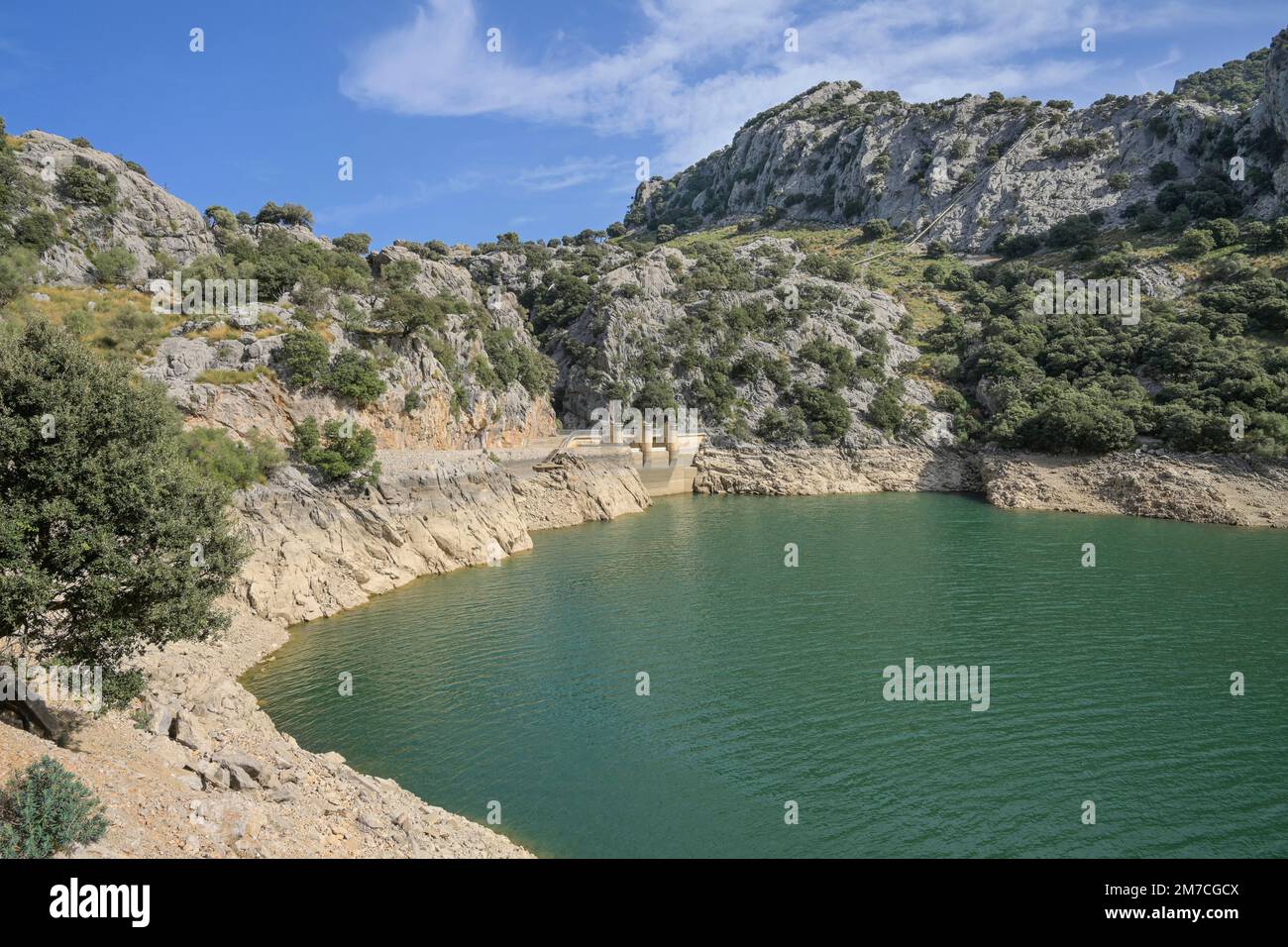 Embalsement de gorg blau hi-res stock photography and images - Alamy