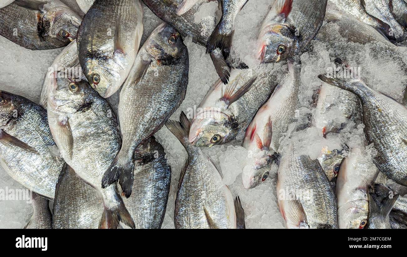 Fresh chilled fish among ice in a supermarket Stock Photo - Alamy